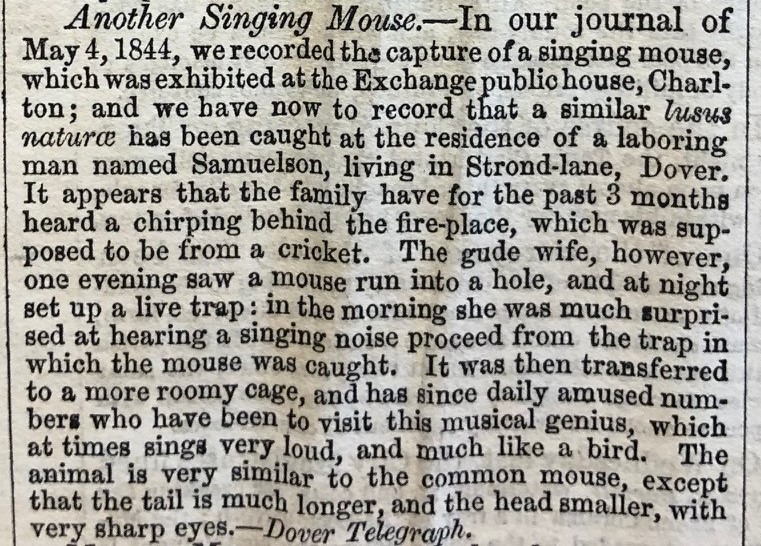 Another Singing Mouse - The Stamford Mercury Archive